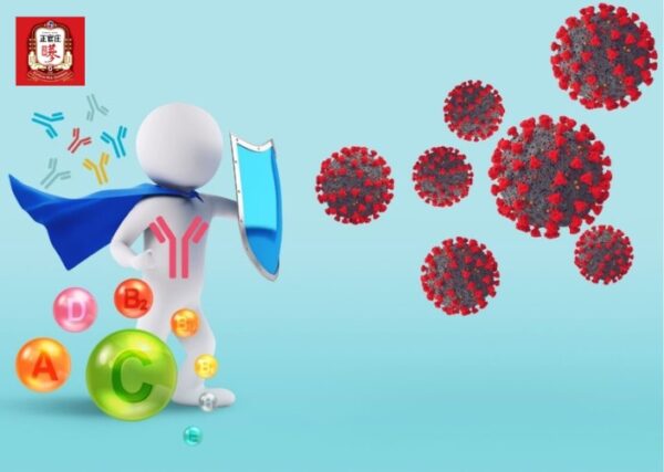 Sữa bột hồng sâm Curcumin Nano - Bí quyết cho sức khỏe toàn diện - KGC ...